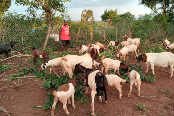 Refugee makes a fortune from mixed farming - Women in News